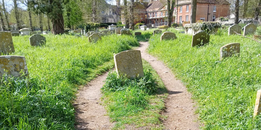 46 Desire Paths That Expose Urban Design Fails - Yield For Chaos